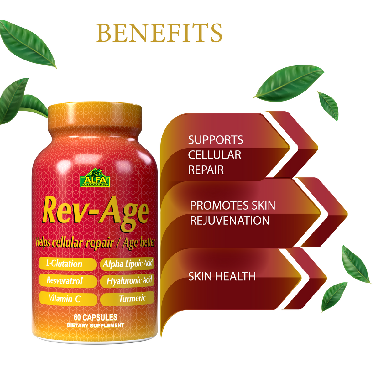 Resveratrol Supplement 500 mg – Alfa Vitamins Store