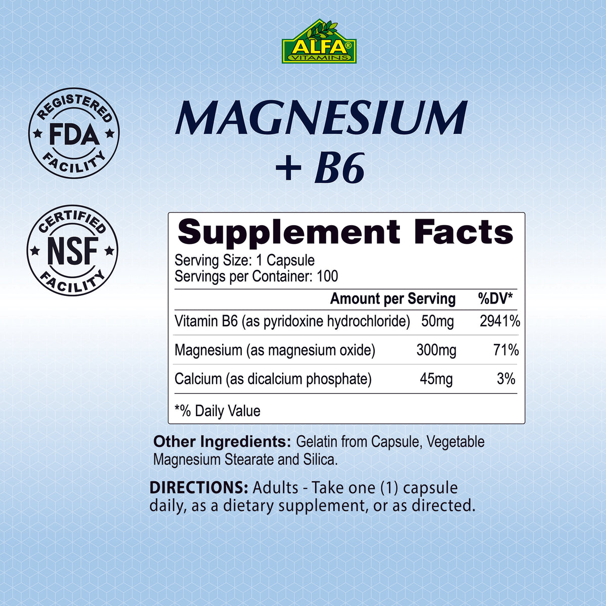 Magnesium Plus B-6 500 mg 100 tablets – Alfa Vitamins Store
