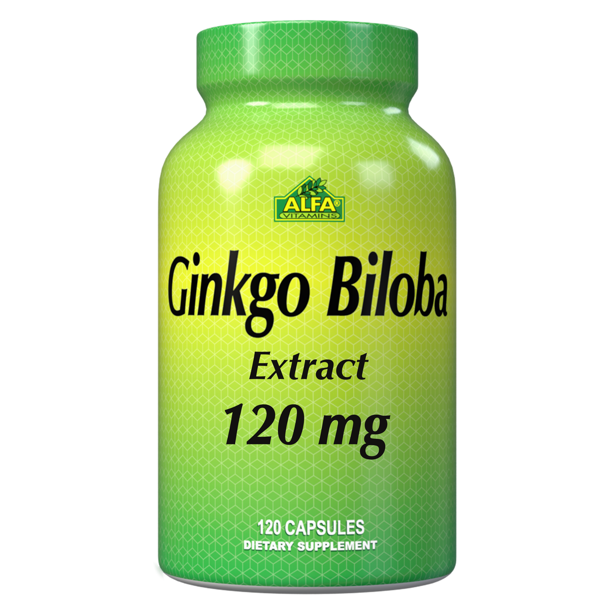 Ginkgo Biloba 120 mg - 120 capsules – Alfa Vitamins Store